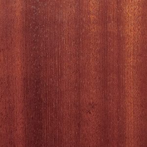 Wood Types | Canadian-Made Custom Solid Wood Doors – Amberwood Doors